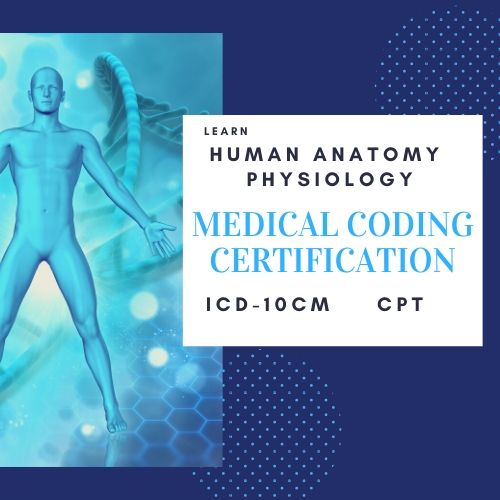 Best Medical Coding Certification Course |2025| Bangalore Best Medical Coding Certification Course |2025| Bangalore
